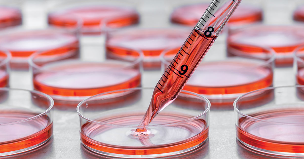 The Cultivated B - Cell line technology and services